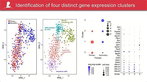 Single Cell Workshop Investigating Human Health And Disease At Single Cell Resolution