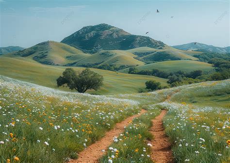 A Serene Landscape Featuring Rolling Hills Wildflowers And Winding Dirt Path Background Hills