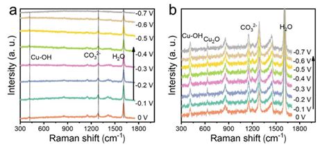 原位系列之原位拉曼篇2 知乎
