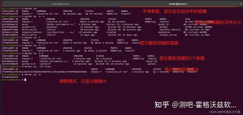 掌握 Docker Ps 命令：轻松管理容器 知乎