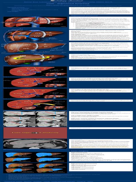 Liver Segmental Anatomy Radiologyassisstant Pdf