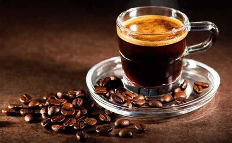 Coffee A Primer For All Bakery Review Food Beverage Read This Story On Magzter Com