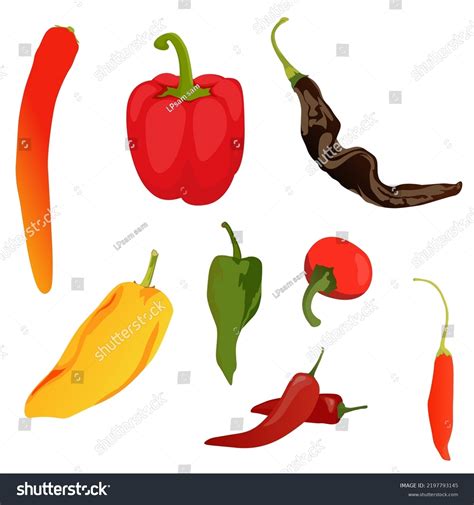Chili Peppers Types Clip Art Red Peppers Individual Display Red