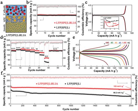 Electrochemical Performance Of Asslbs With Two Different Cell