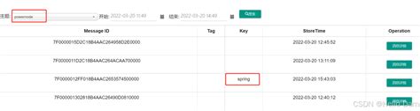 【rocketmq】springboot整合rocketmqrocketmq Spring Boot Csdn博客