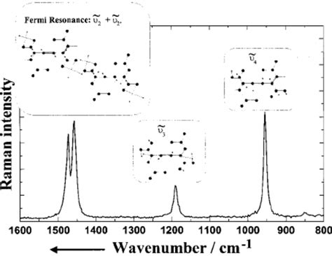 Resonance Raman Spectrum Displaying The Vibrational Modes Excited By Download Scientific