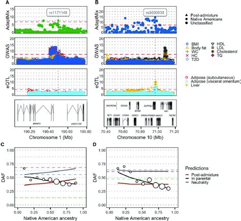 Genetic Loci With Signals Of Selection At Metabolic Related Genes A