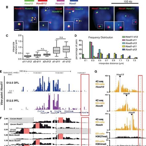 Direct Visualization Of Topologically Associating Domains Tads At The Download Scientific