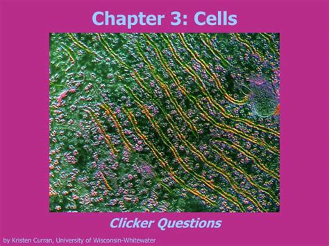PPT Chapter 3 Cells PowerPoint Presentation Free Download ID 1093980