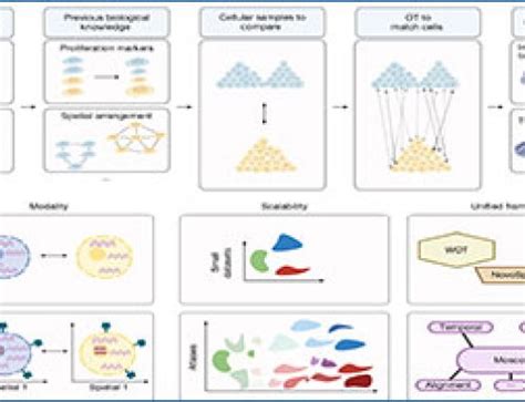 Funpat Function Based Pattern Analysis On Rna Seq Time Series Data