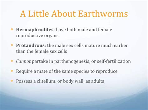 Earthworm Reproduction Pptx
