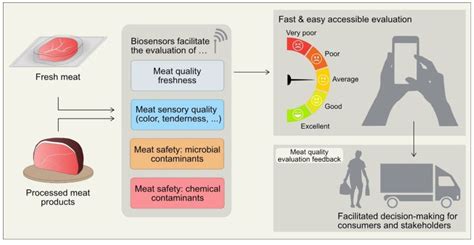 Chemosensors Mdpi On Linkedin Review Recommendation Biosensors Meat Freshness Quality