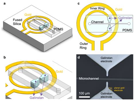 Device Schematics And Micrograph Schematic Drawing Of Galinstan Download Scientific Diagram