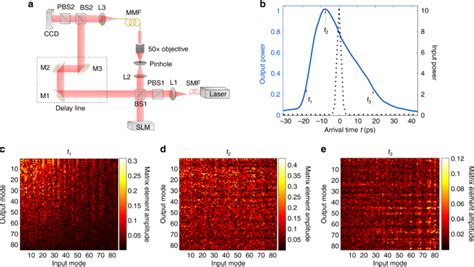 Long Range Spatio Temporal Correlations In Multimode Fibers For Pulse