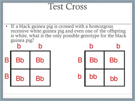 Pick Up Your Plickers Card Ppt Download