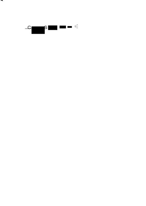 Vpn Over Ssh Clip Art At Vector Clip Art Online Royalty