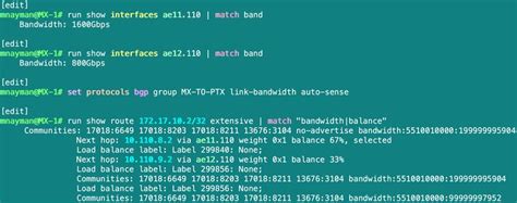Moshiko Nayman On Linkedin Bgp Junos