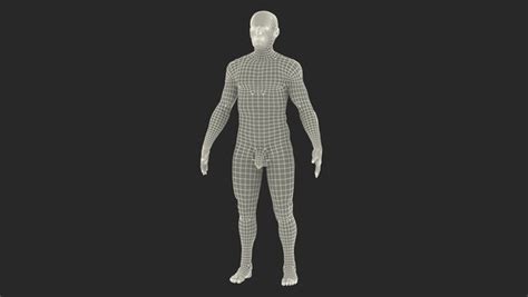 男性全身裸体 D模型 TurboSquid