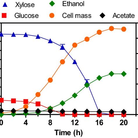 Growth Sugar Consumption And Acetate And Ethanol Production Kinetics Download Scientific