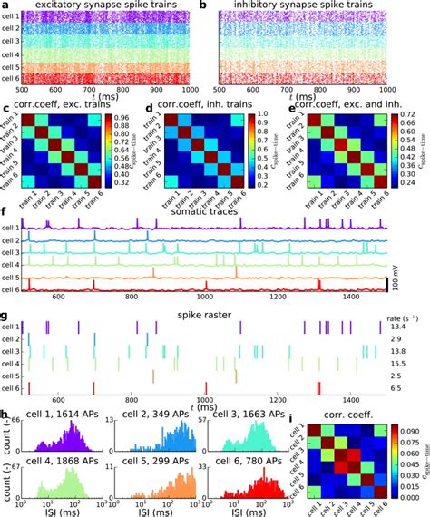 Network Generated Synaptic Inputs And Resulting Spiking Outputs In