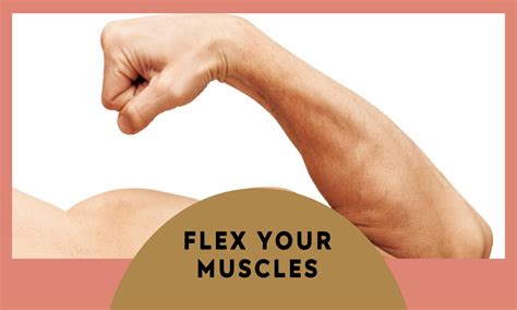 Parts Of The Bicep Healthy Mens