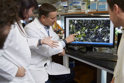 Stem Cell Gene Therapy Shows Promise In Als Safety Trial Regenerative