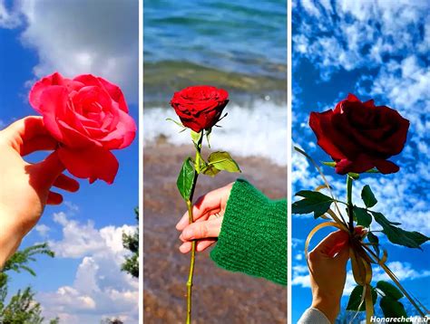 عکس جذاب و خاص برای پروفایل شما