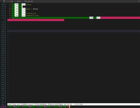 vim编辑输入乱码怎么解决，各位大佬 · issue 1415 · kingtoolbox windterm · github