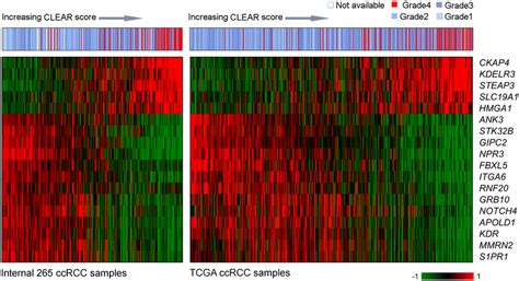 heatmaps of 18 transcript signature profiles from internal tcga cohort