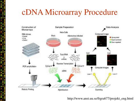 ppt literature survey microarray data analysis powerpoint