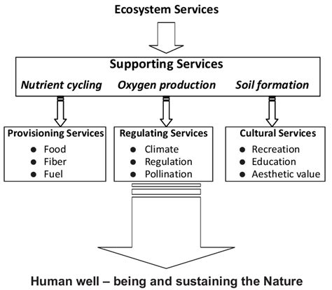 Classification Of Ecosystem Services From The Millennium Ecosystem
