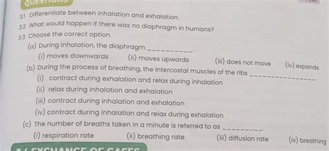 3 1 Differentiate Between Inhalation And Exhalation 3 2 What Would Happ