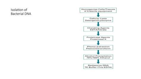 Recombinant Techniques Pptx Dr Madhushree Pahari Pptx Biological