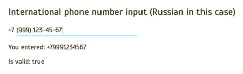 React Phone Number Input Component Reactscript