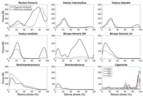 Development Of A Lower Limb Finite Element Musculoskeletal Gait Simulation Framework Driven