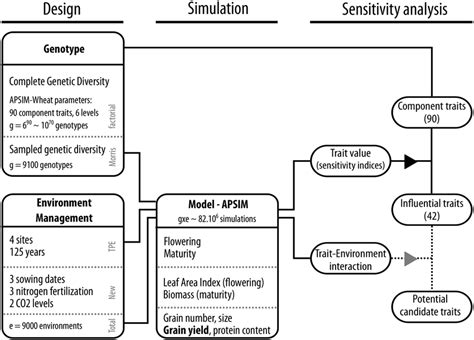 Framework Of Crop Model Simulation And The Sensitivity Approach Used To