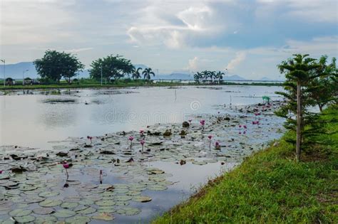 Laguna Lake Laguna De Bay Philippines On A Nice Morning In October Stock Image Image Of