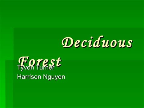 Deciduous Forest Tthn Ppt