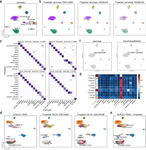 Figure 1 From Construction Of Continuously Expandable Single Cell Atlases Through Integration Of