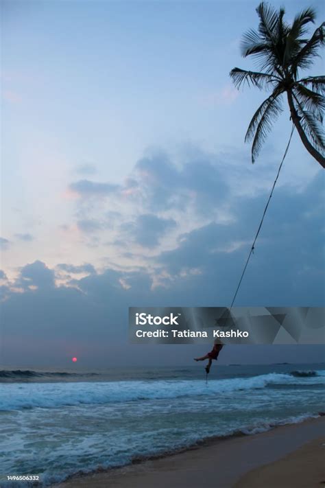 스리랑카의 열대 섬 해변에서 밧줄에 그네를 타고 즐거운 시간을 보내는 젊은 여성 0명에 대한 스톡 사진 및 기타 이미지 0명 경관 관광 Istock