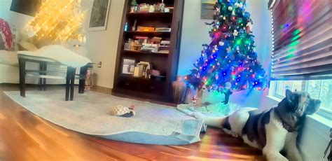 Crazy Girl Loves To Look Out The Window Rakita