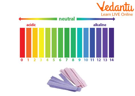 Interesting Facts About Acids Learn Important Terms And Concepts