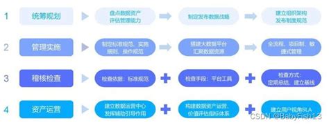 数据治理8大核心模块建设 数据治理流程图 csdn博客