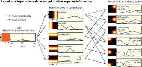 Bayesian Updating Of Expectations What Information Is Obtained In The Download Scientific
