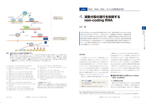 実験医学増刊生命分子を統合するRNAーその秘められた役割と制御機構分子進化サイレンシングnon coding RNA からRNA 修飾