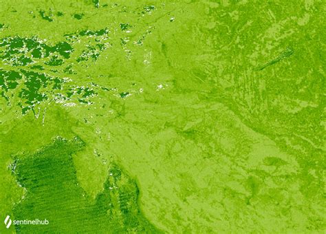 Modis Salinity Index Sentinel Hub Custom Scripts