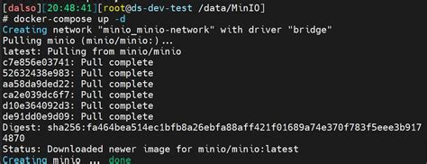 홈서버에서 아마존 S3와 호환되는 분산 스토리지 구축하기feat Minio