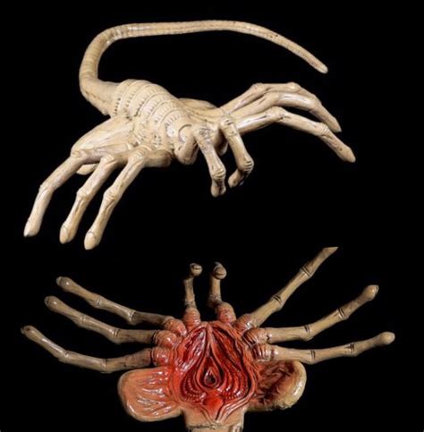 Neca Aliens 11 Scale Life Size 30 Facehugger Prop Replica