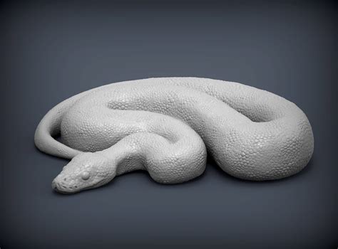 ball pythons 3d model by alexander3dart