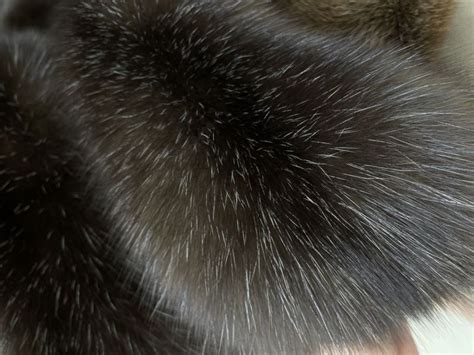 Соболь в наборах на шубу